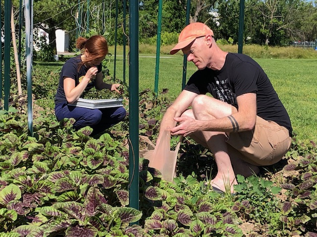 Foraging the Good Stuff - Common Reader