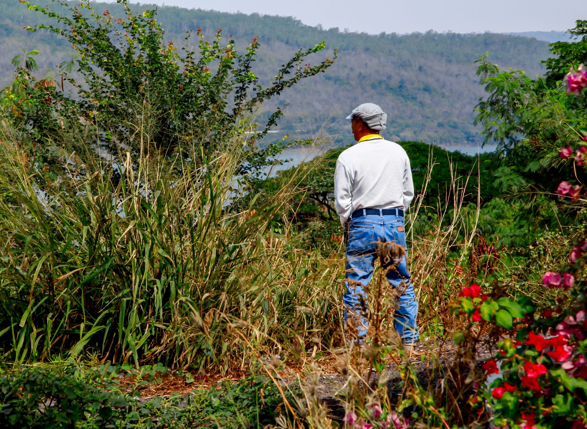 How Pee Could Save the Planet - Common Reader