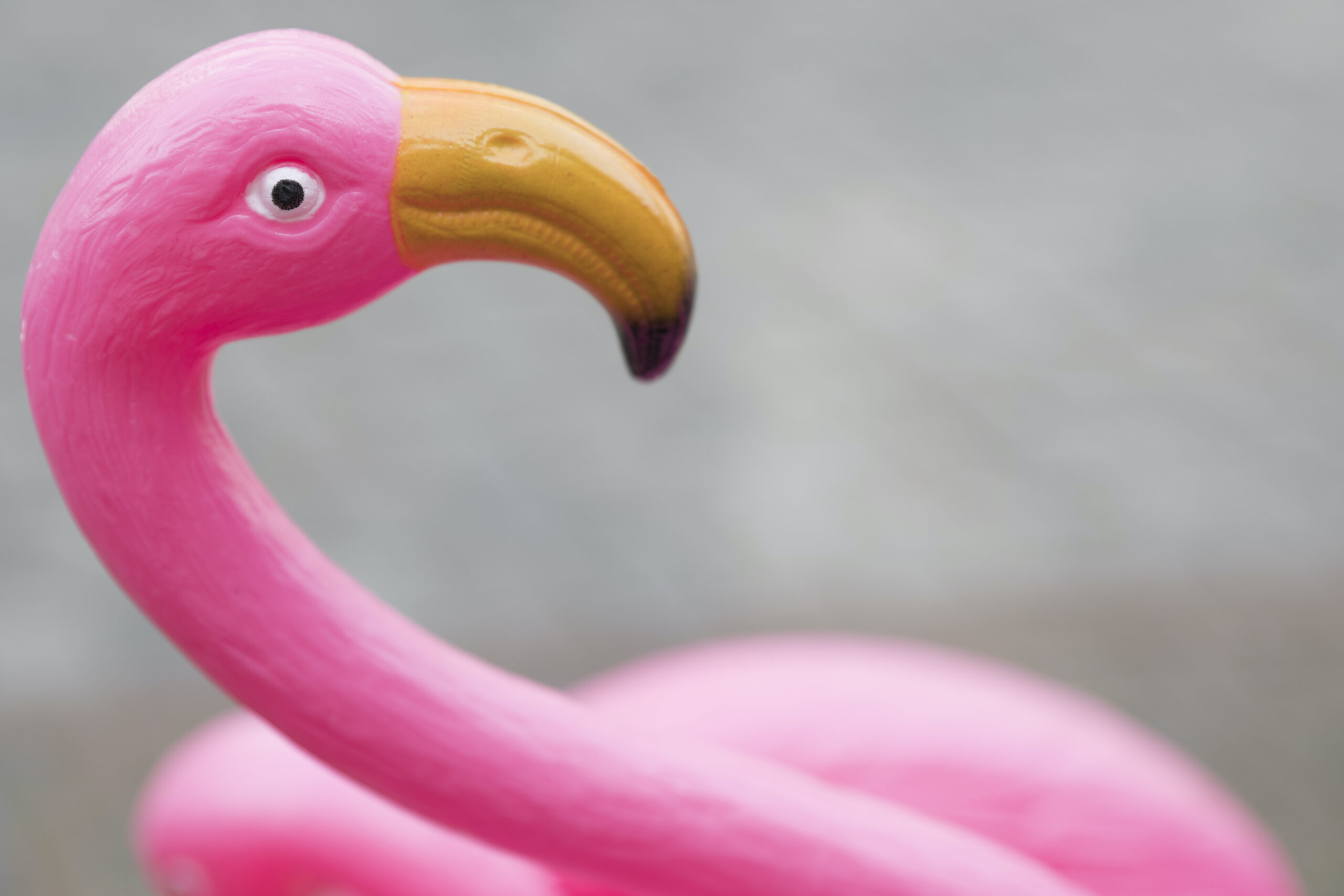 The Purloining of the Pink Flamingo - Common Reader