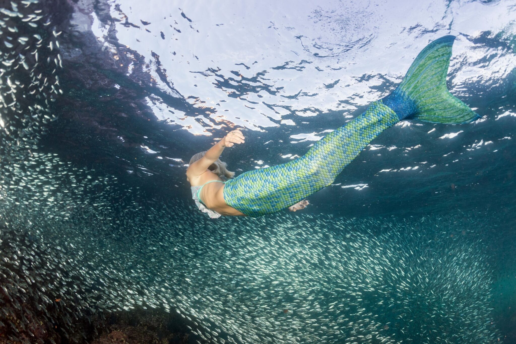 And Why Not Look for Mermaids? - Common Reader