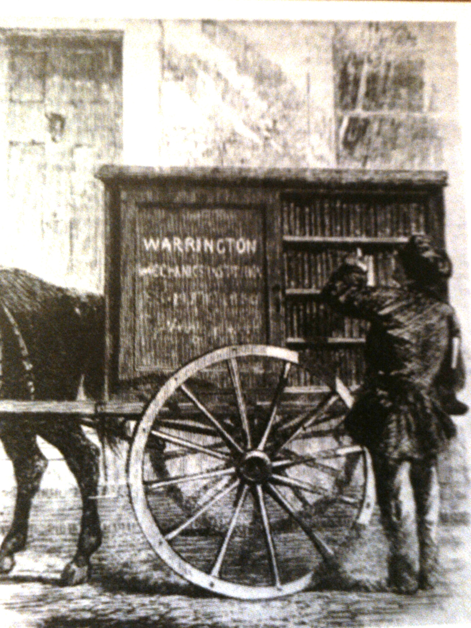 Horse Library