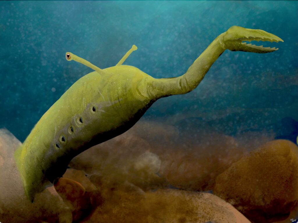 Illinois’s Perplexing, Quirky, Venerable Tully Monster - Common Reader