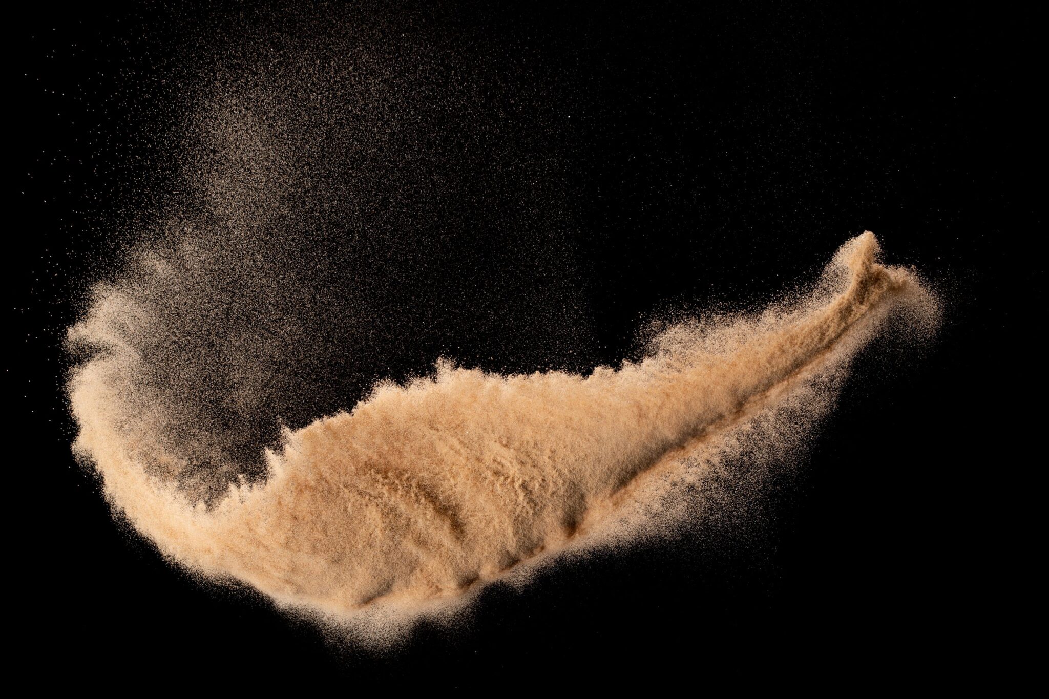 Why Dust Matters - Common Reader